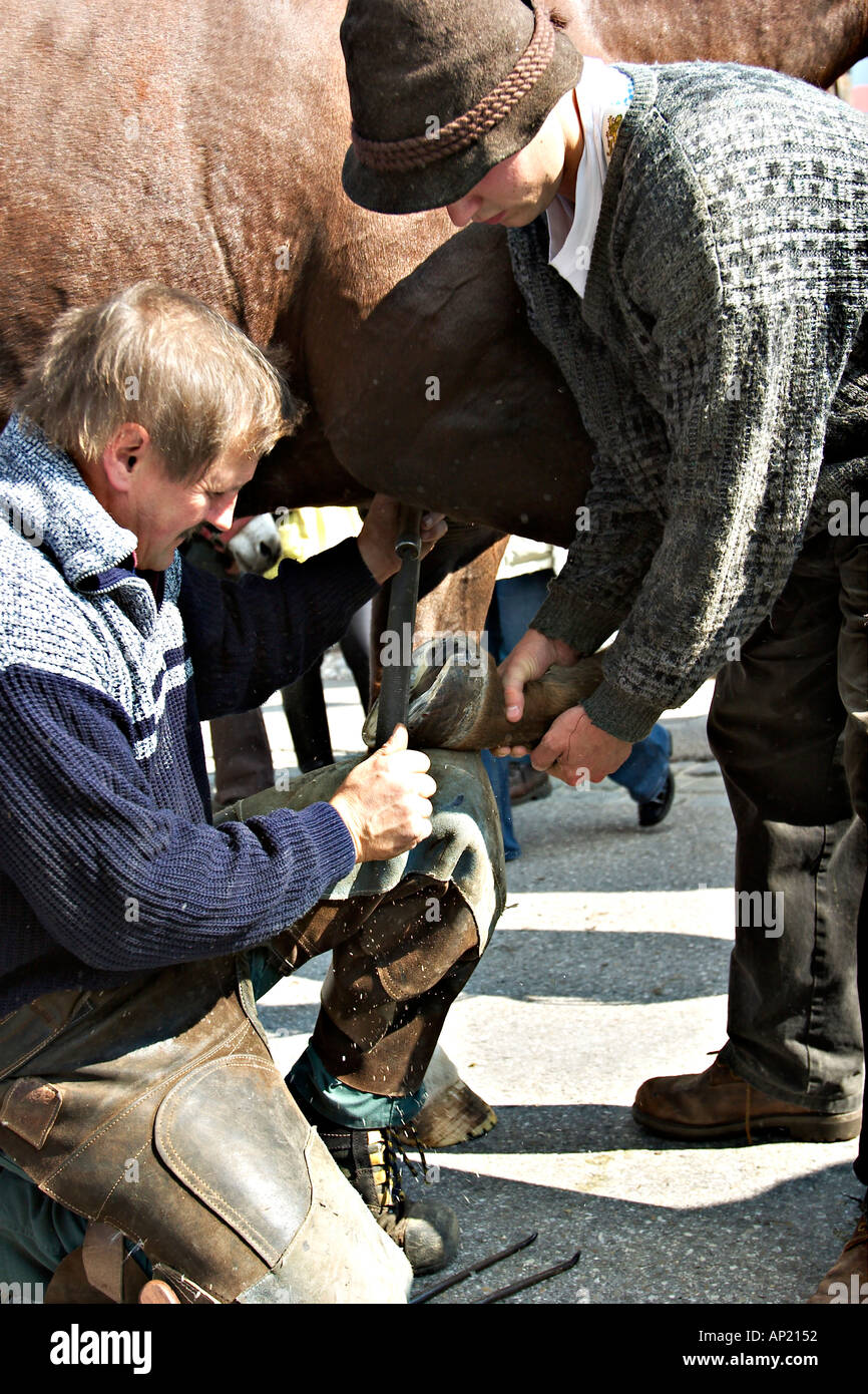 blacksmith with helper shoe a horse with horseshoes Stock Photo - Alamy