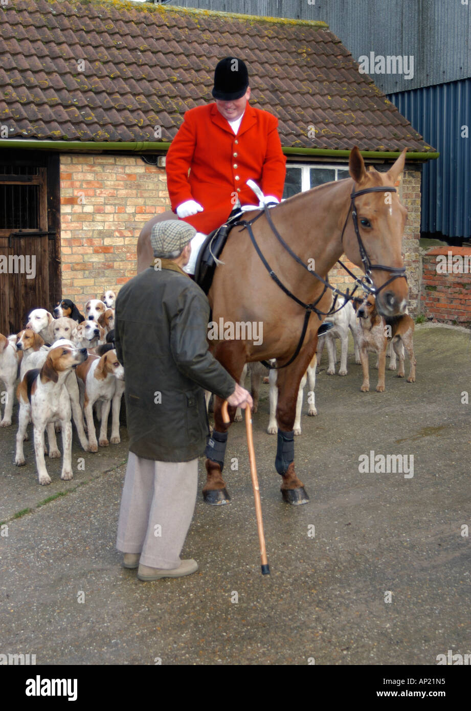 Foxhunting High Resolution Stock Photography and Images - Alamy