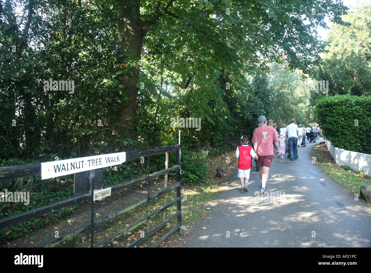 Walnut tree walk hi-res stock photography and images - Alamy