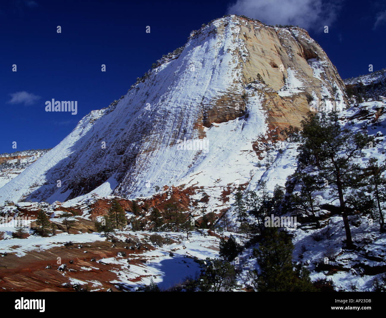 Zion National Park Winter Stock Photo - Alamy