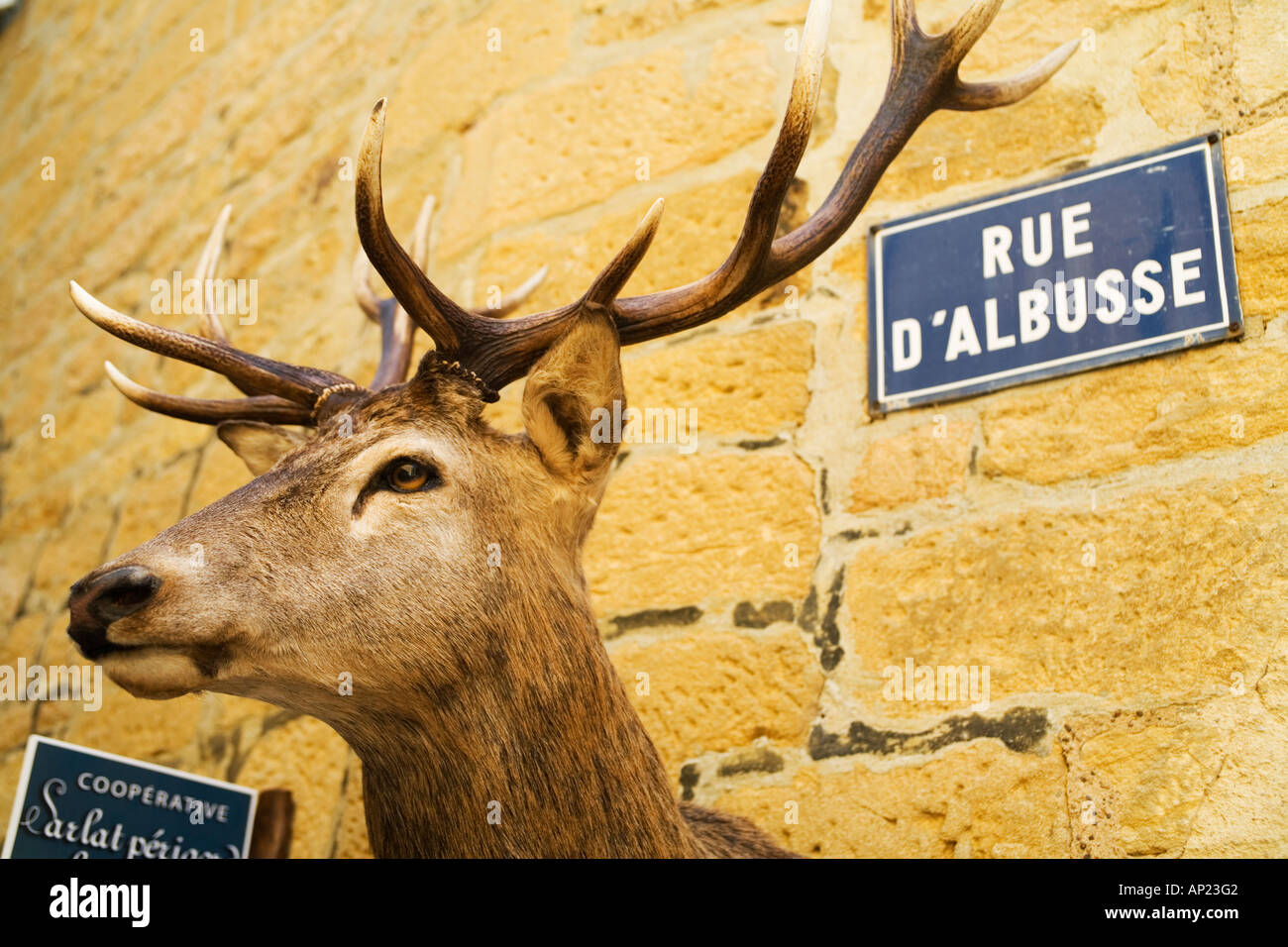 Deer head as shop sign. Sarlat la Caneda, Perigord Noir, France Stock ...