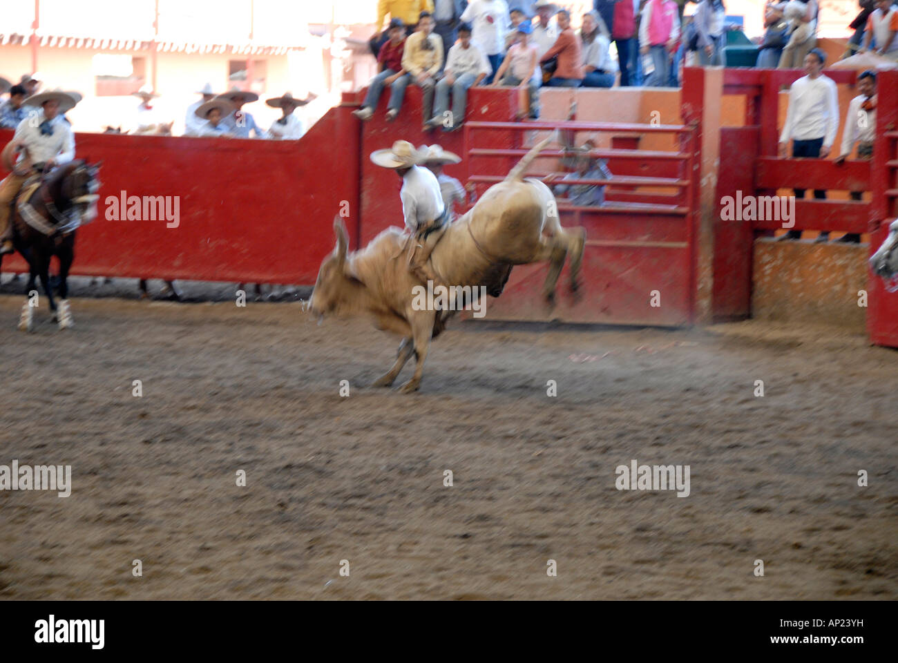 Mexican charros charreada rodeo hi-res stock photography and images - Alamy