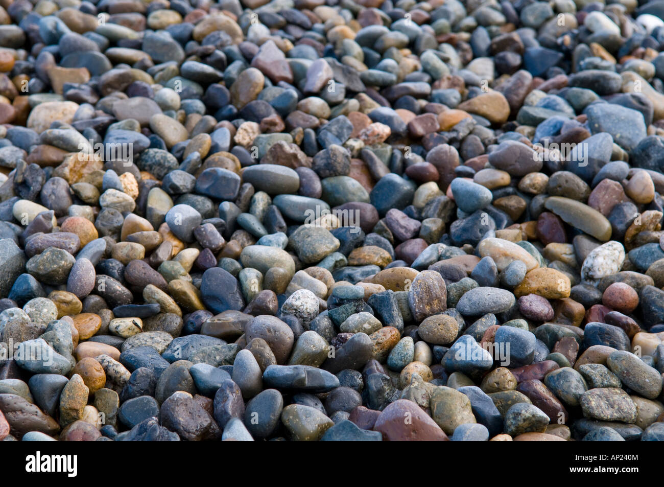 Well rounded hi-res stock photography and images - Alamy