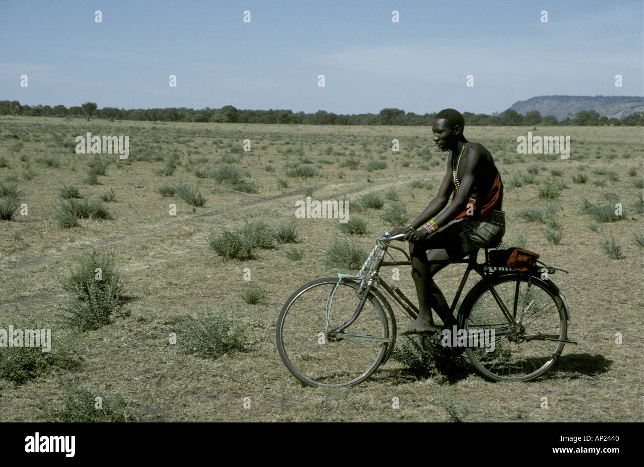 Maasai moran or warrior in traditional dress riding a bicycle close to ...