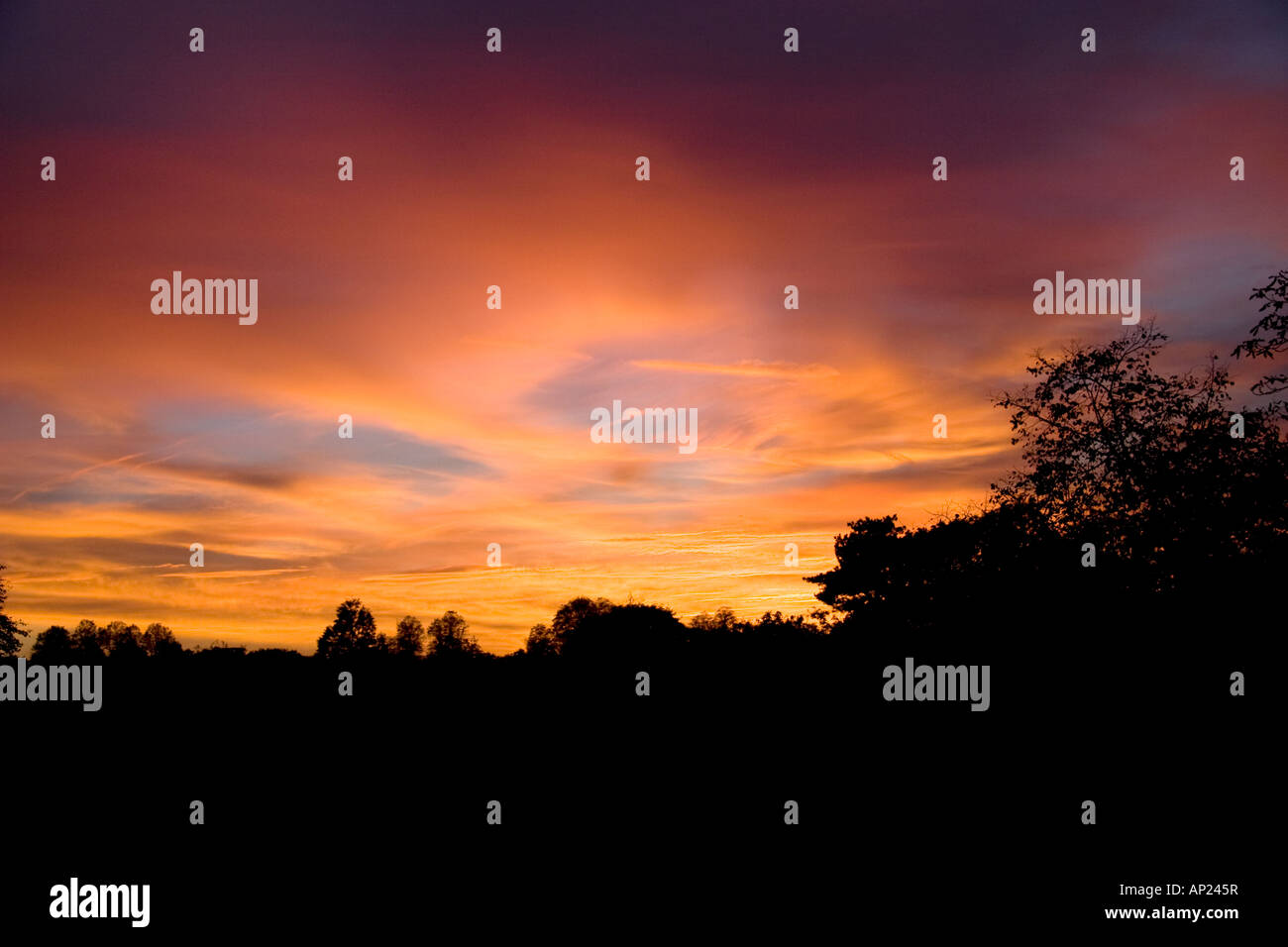 Dramatic red fire sunset over woodland Stock Photo - Alamy
