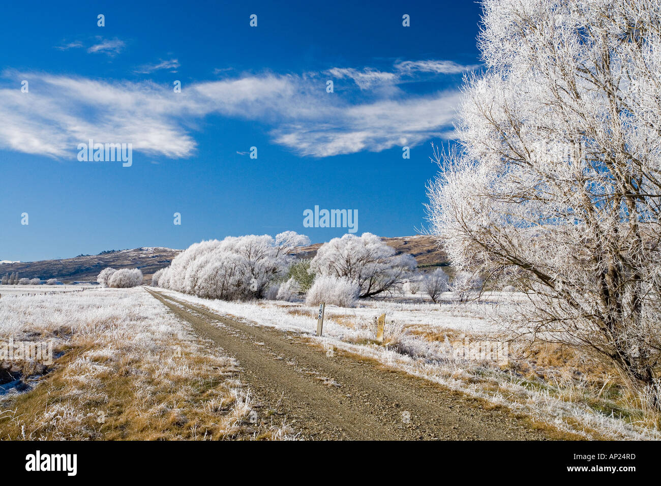 Hoar Frost and Otago Central Rail Trail near Oturehua Central Otago ...