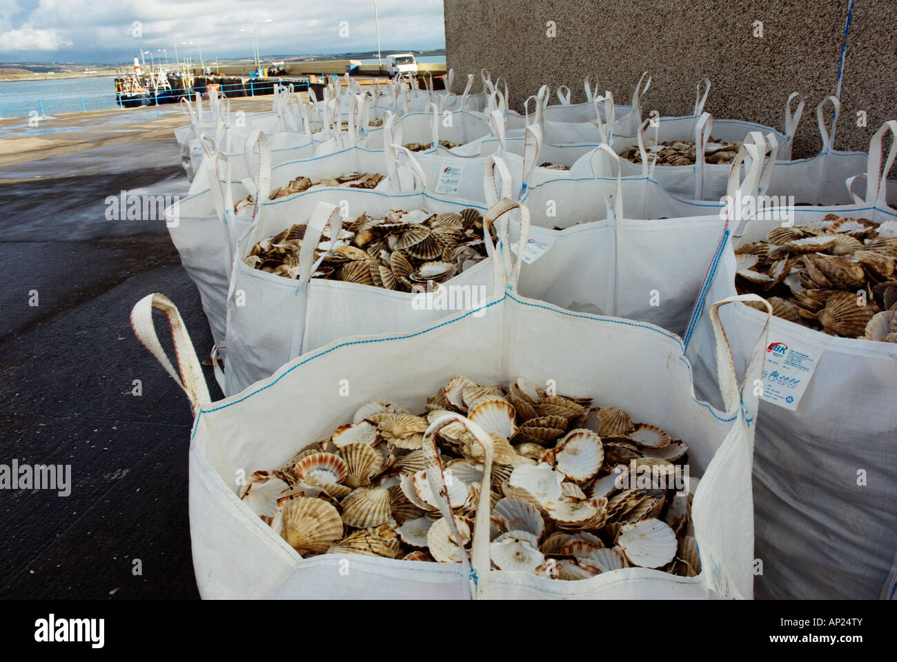 Empty bags hi-res stock photography and images - Alamy