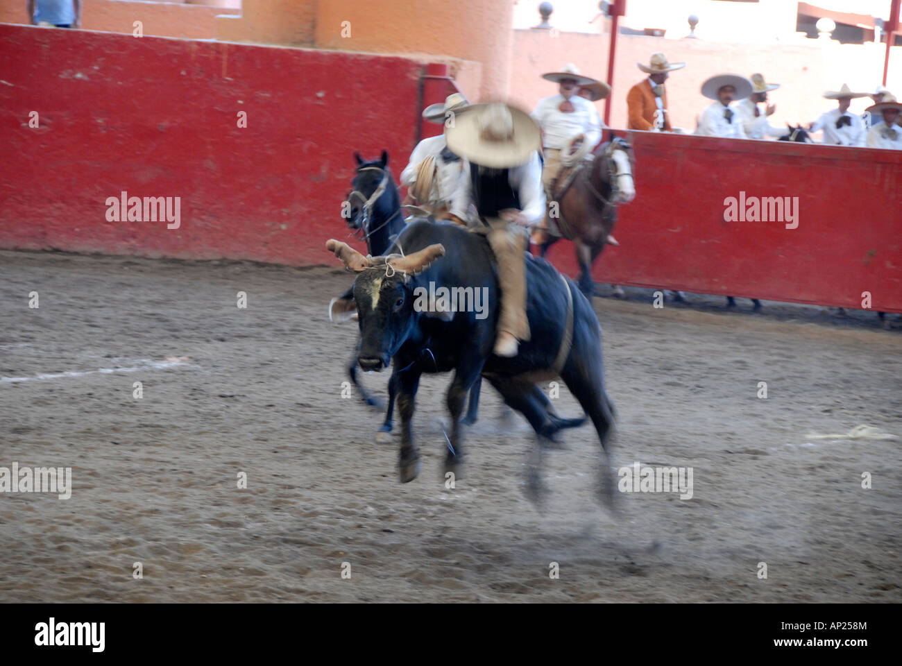 Mexican charros charreada rodeo hi-res stock photography and images - Alamy