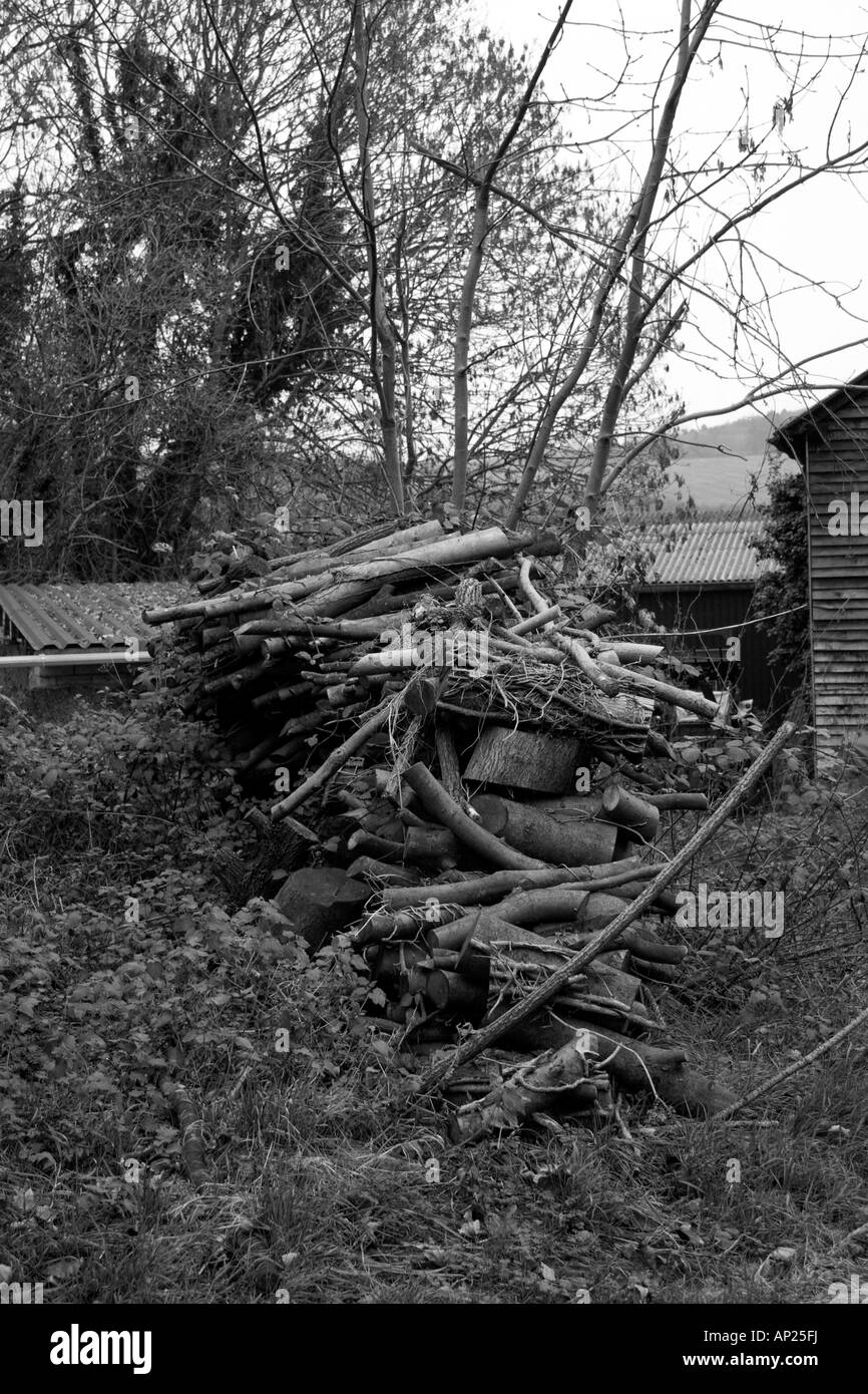 Cut trees branches in Black and White Stock Photos & Images - Alamy