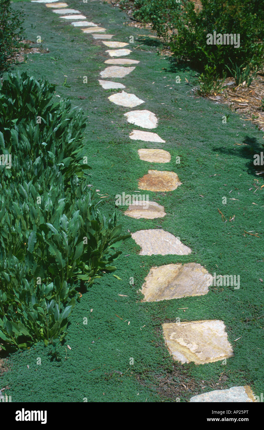 Flagstone path through green moss in Steamboat Springs Colorado USA ...