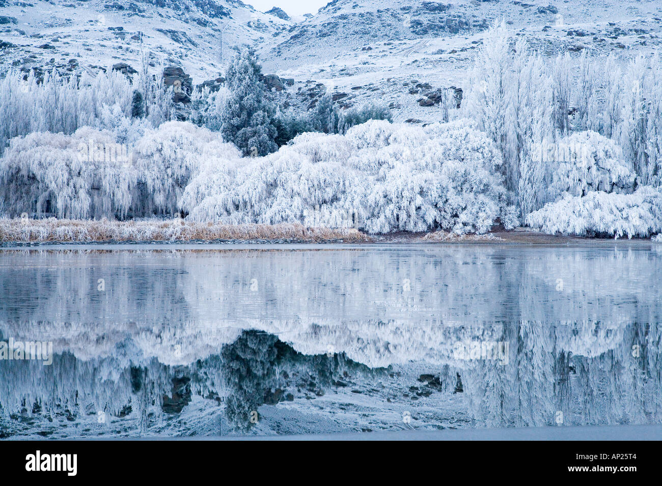 Alexandra new zealand hi-res stock photography and images - Alamy