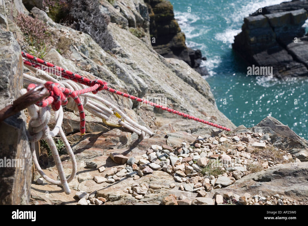 CLIMBING ROPES attached to fixed belay at top of Gogarth South Stack ...