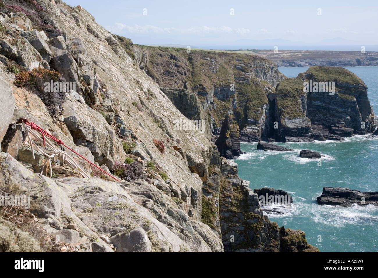 CLIMBING ROPES attached to fixed belay at top of Gogarth South Stack ...