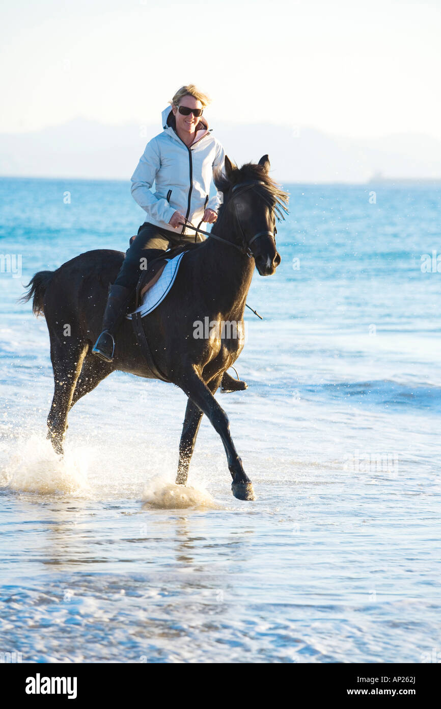 Blonde woman horse on beach hi-res stock photography and images - Alamy