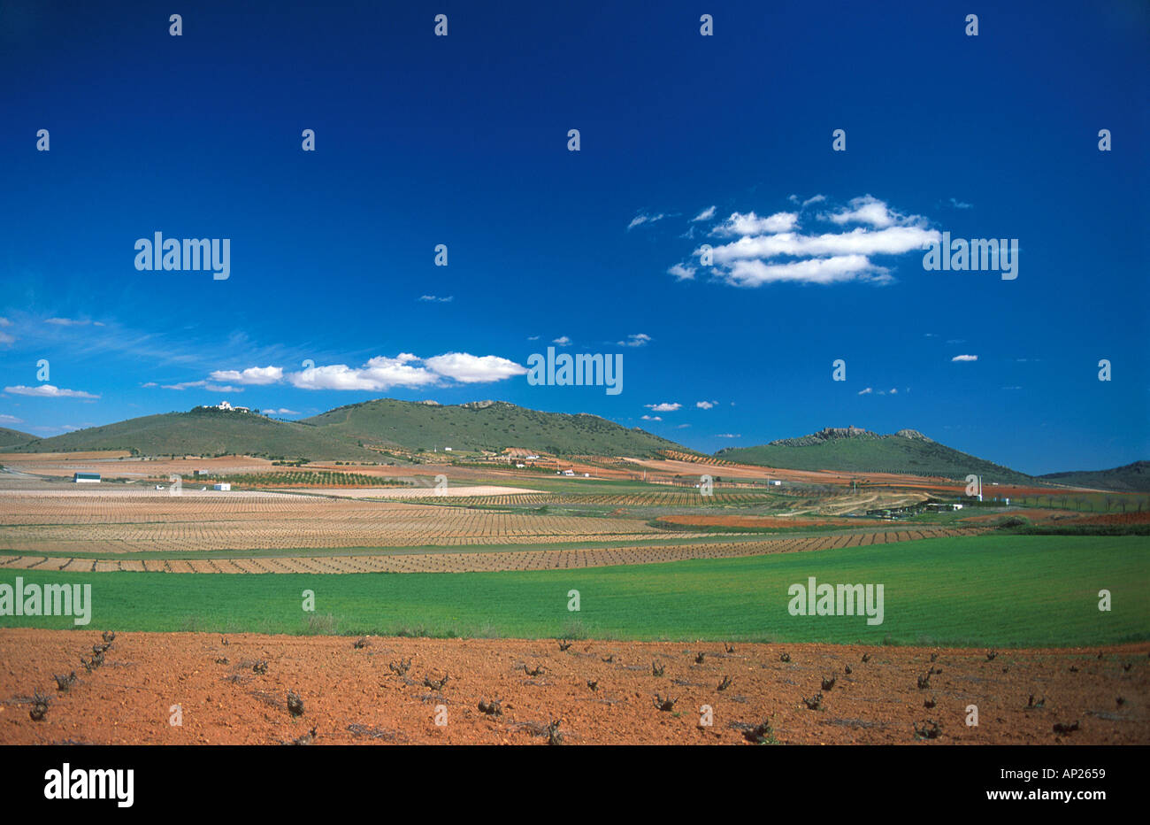 Farm land south of Toledo Spain showing grapes wheat and a farmhouse on ...