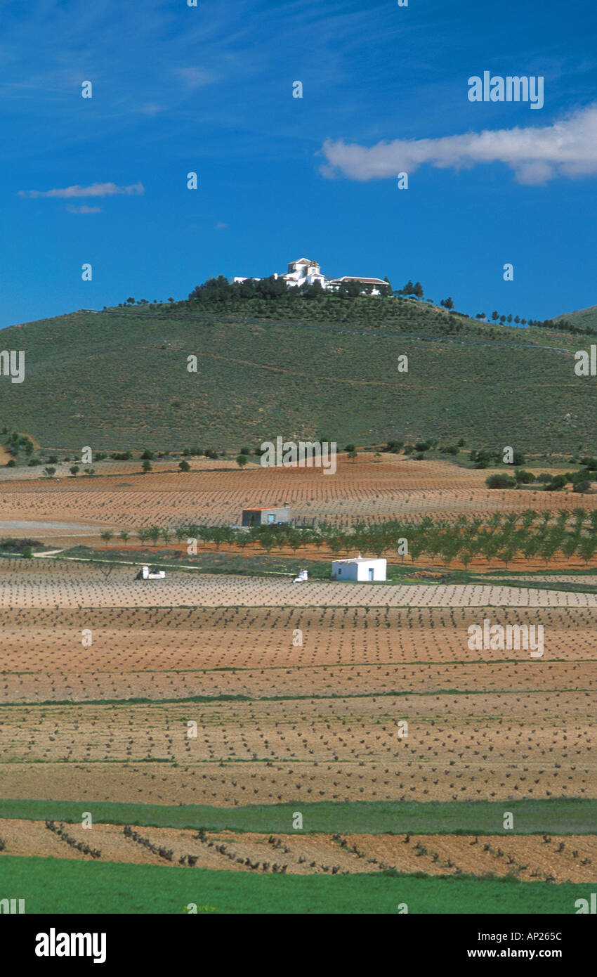Farm land south of Toledo Spain showing grapes wheat and a farmhouse on ...