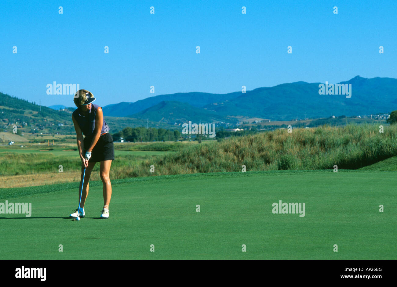 Golfer putting Haymaker golf course Steamboat Springs Colorado USA ...