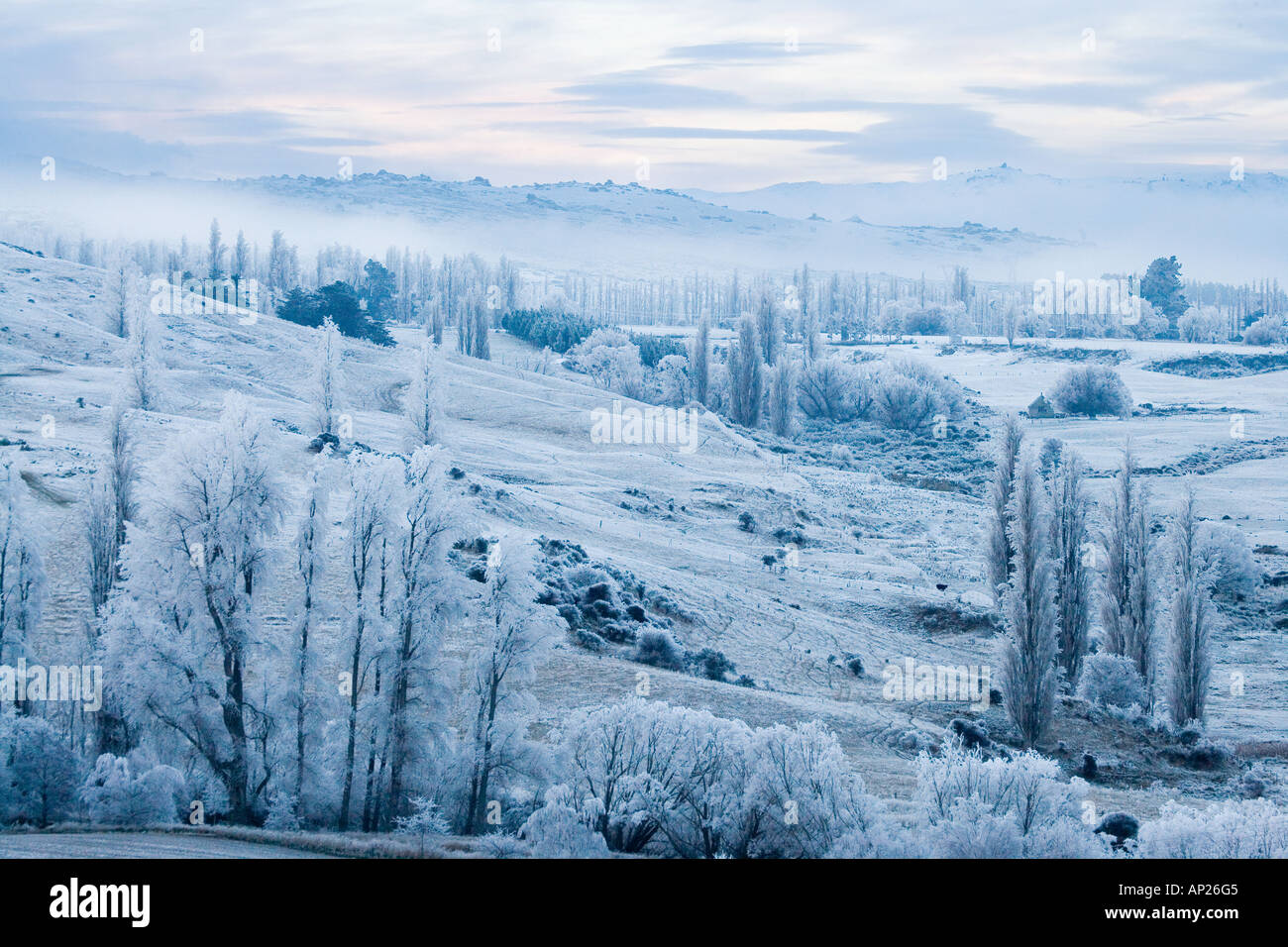 Farmland and Hoar Frost Fruitlands near Alexandra Central Otago South ...