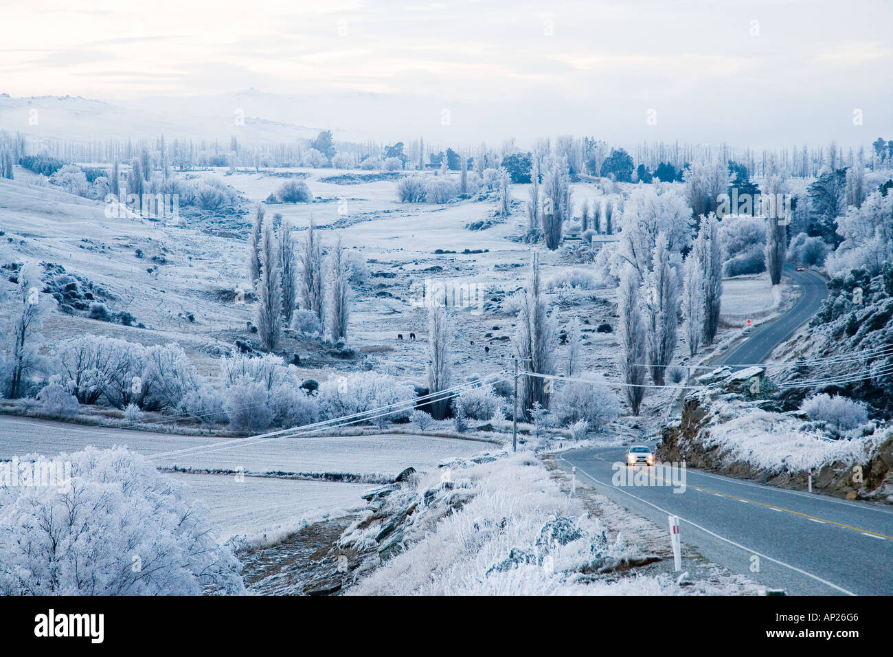Road and Hoar Frost Fruitlands near Alexandra Central Otago South ...
