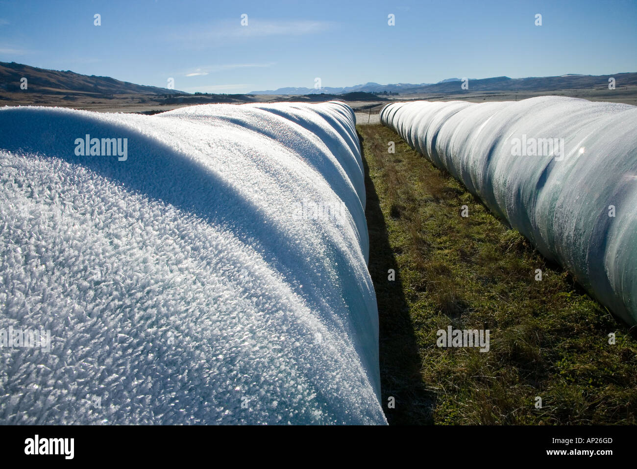 Hoarfrost ice crystals on farm hi-res stock photography and images - Alamy