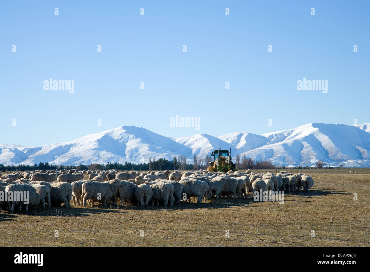 Kakanui mountains hi-res stock photography and images - Alamy
