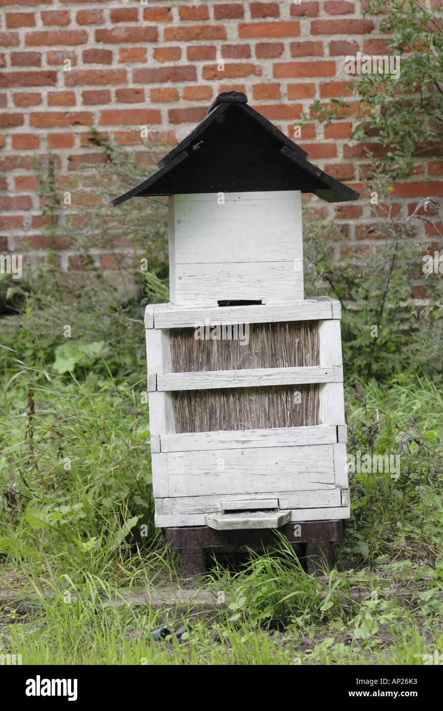 Old fashioned beehive hi-res stock photography and images - Alamy
