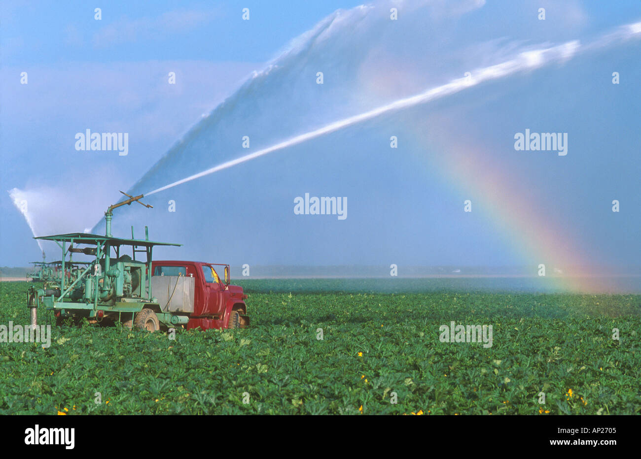 Rainbow Irrigation Pumps