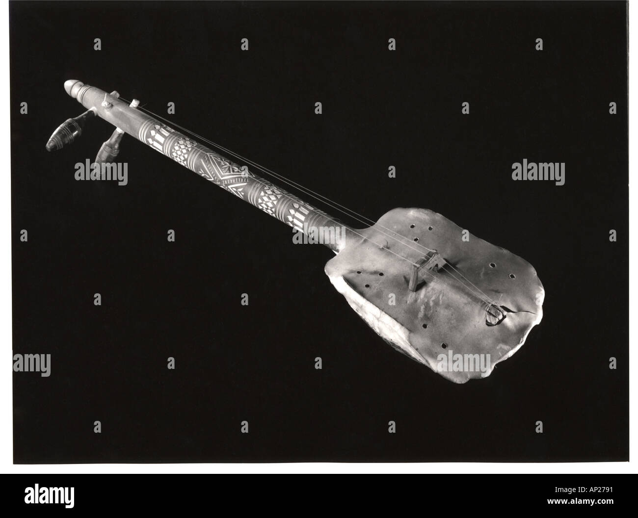 Lute turtle hi-res stock photography and images - Alamy