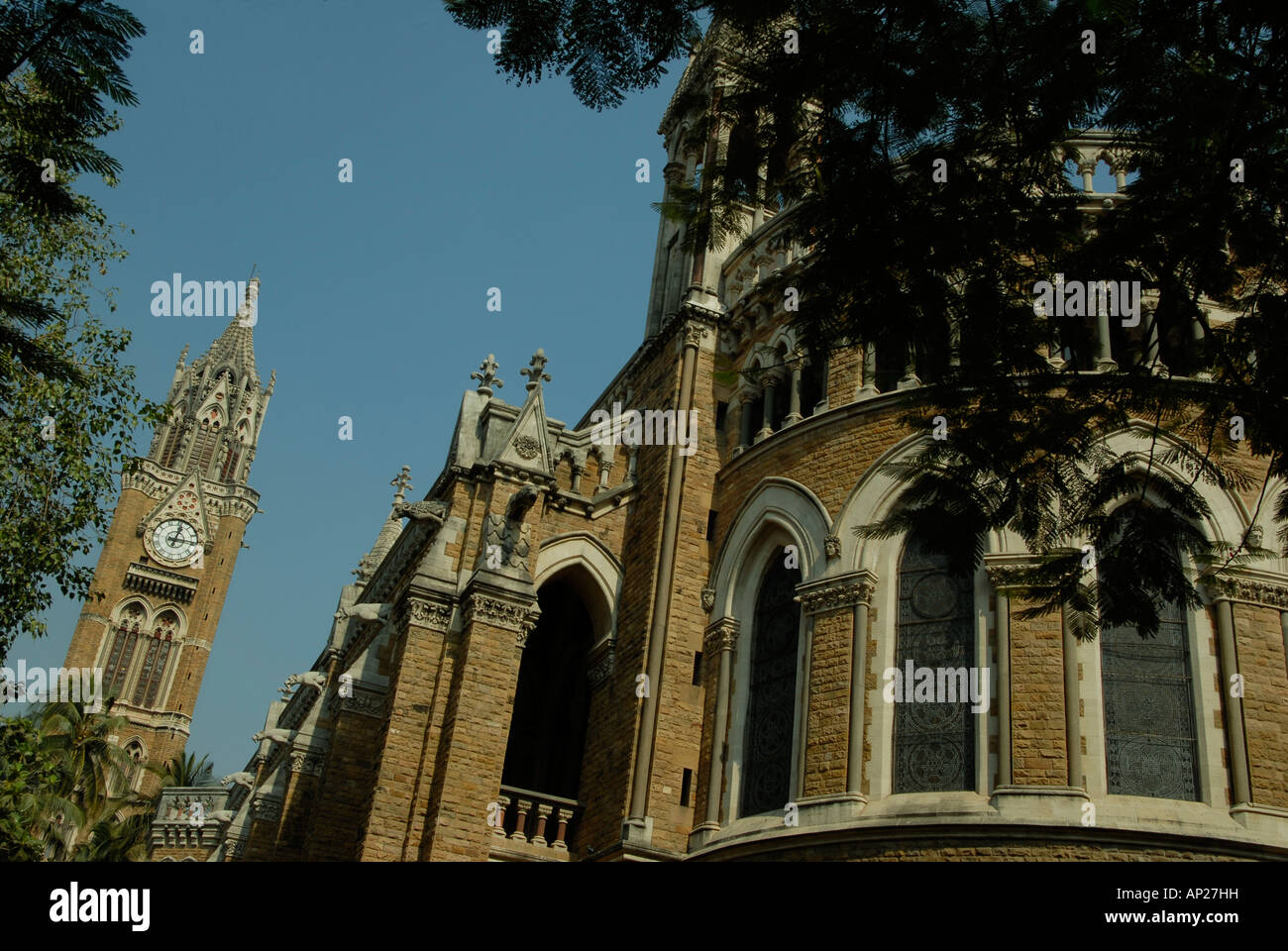 Library and clocktower on the campus of Mumbai University India Stock ...