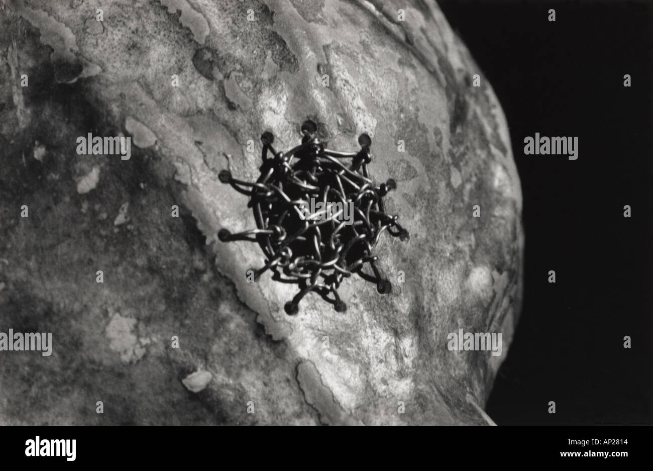 Detail of a Hosho from Zimbabwe Stock Photo - Alamy