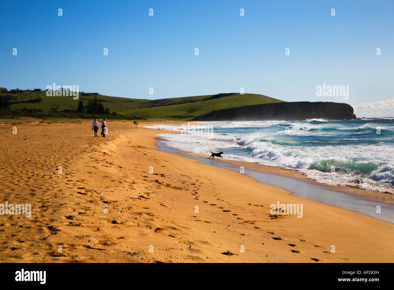 Walking the Dog on Werri Beach Gerringong New South Wales Australia ...