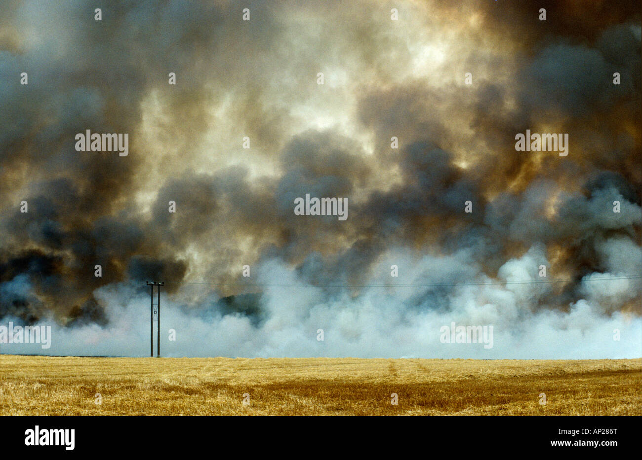 A pall of smoke as a farmer burns off stubble Stock Photo - Alamy