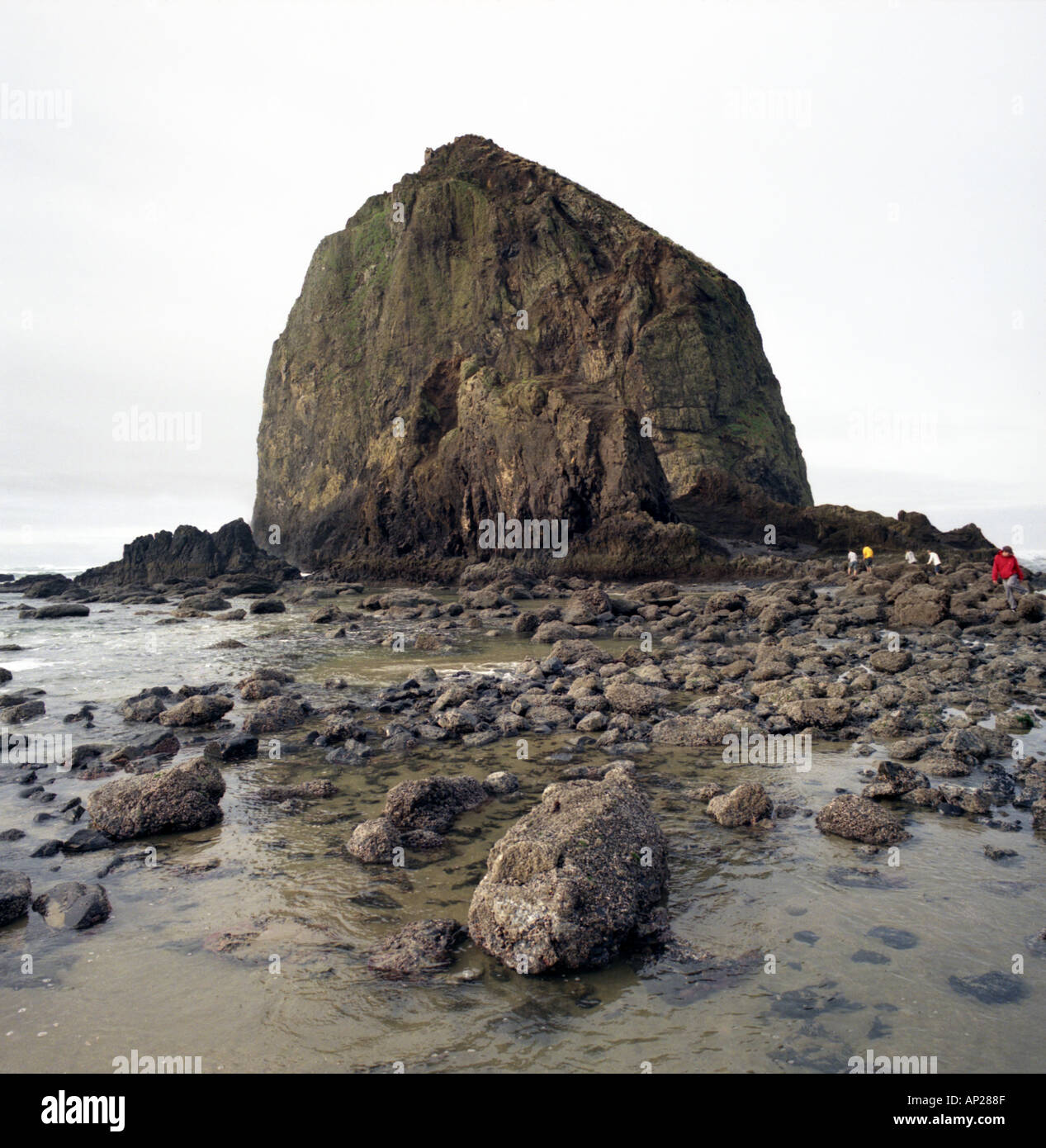Haystack rock tide pool hi-res stock photography and images - Alamy