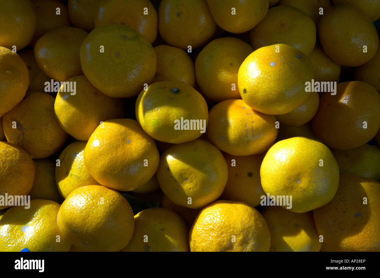 Lemons for sale on a British market stall Stock Photo - Alamy