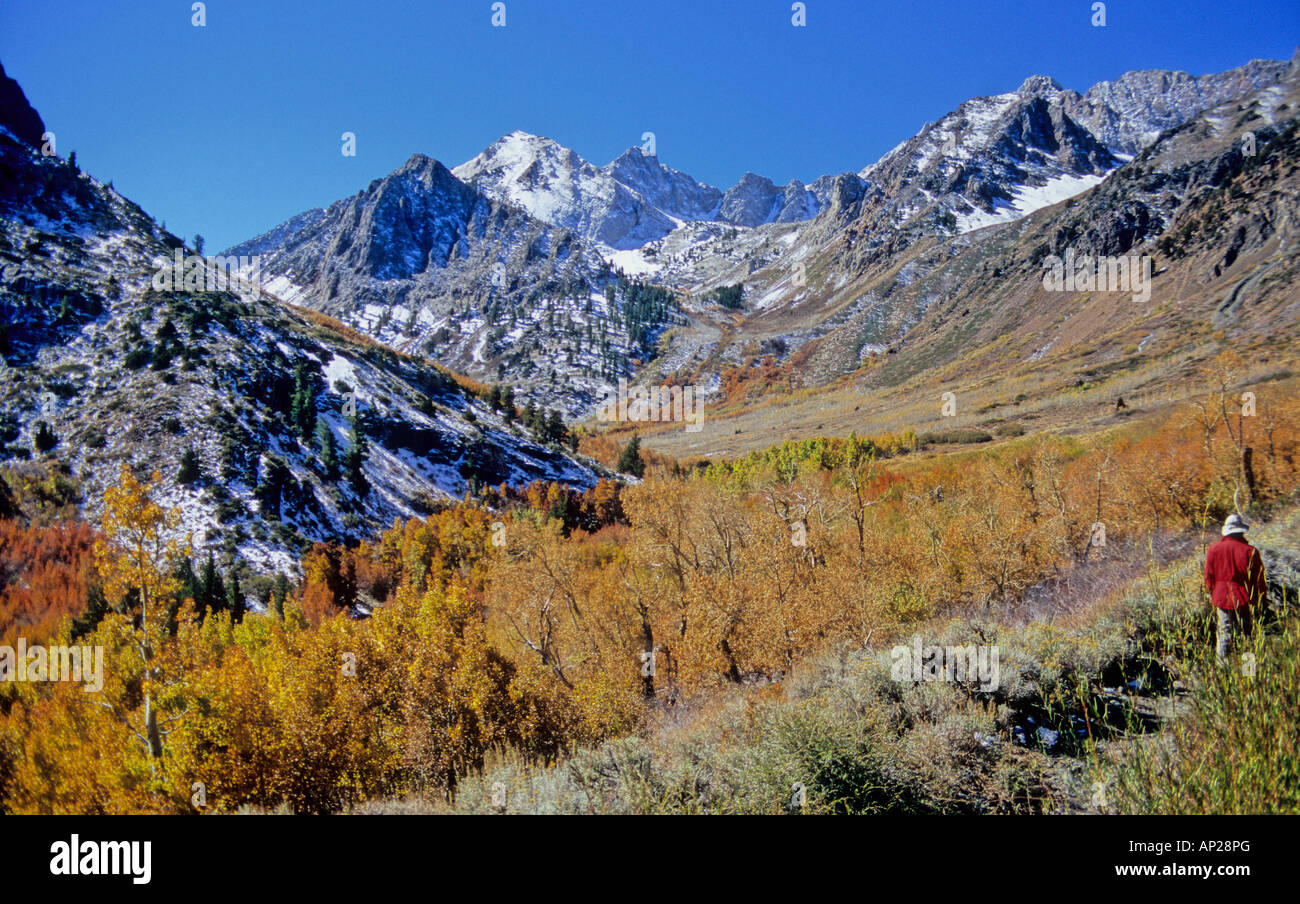 Mcgee canyon hi-res stock photography and images - Alamy