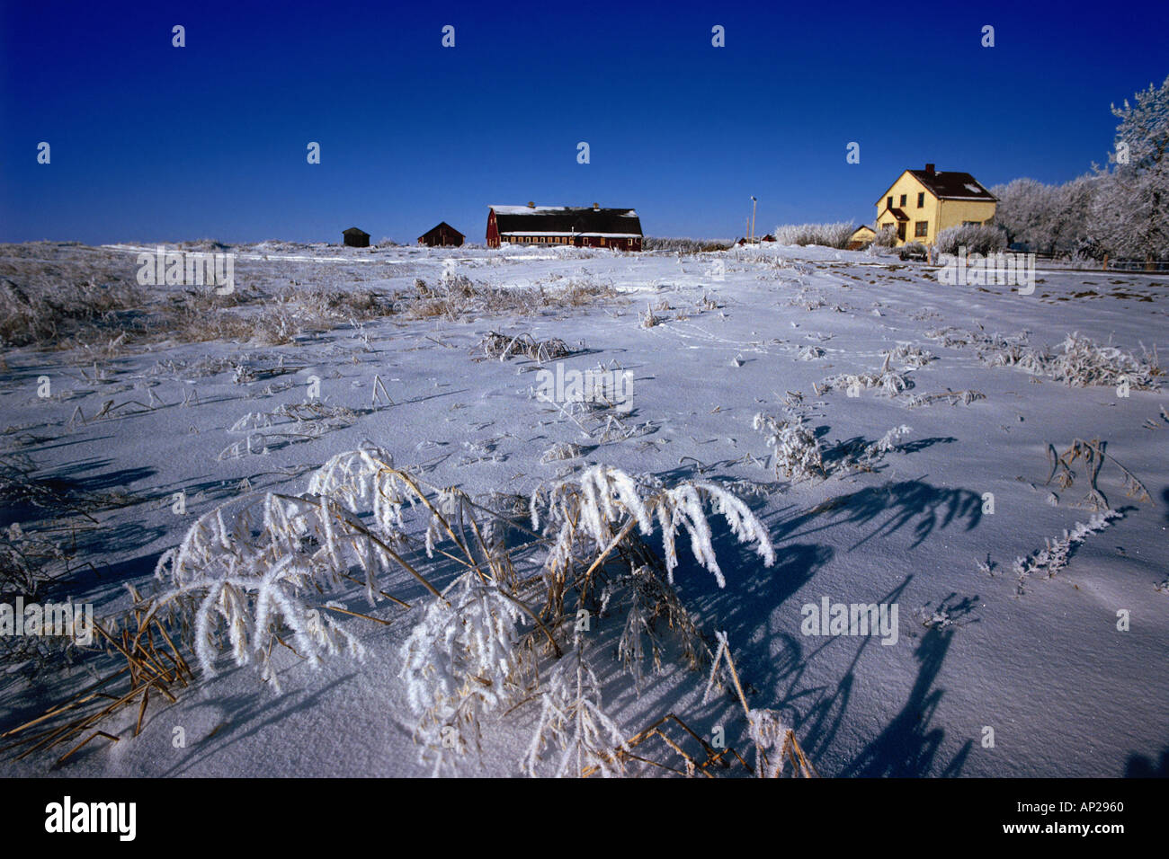 Farm homestead in winter Stock Photo - Alamy