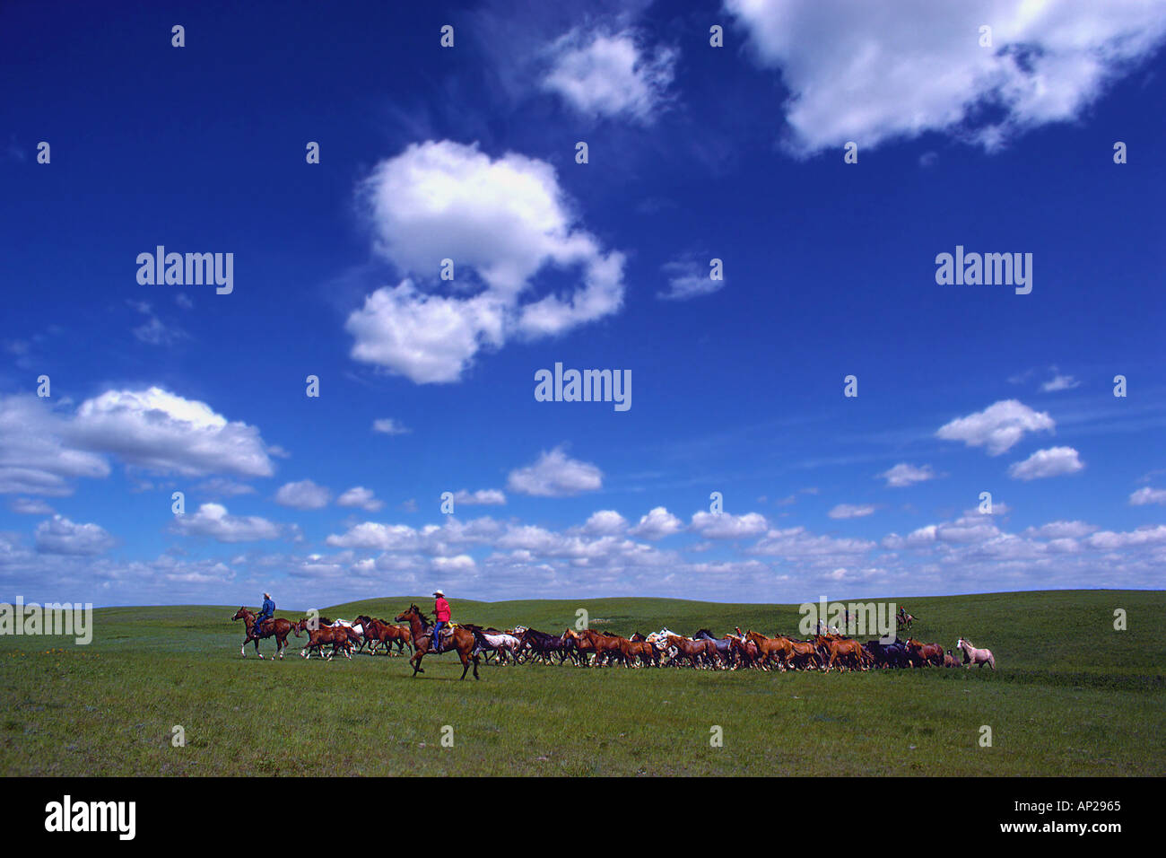 Ham0033 hi-res stock photography and images - Alamy