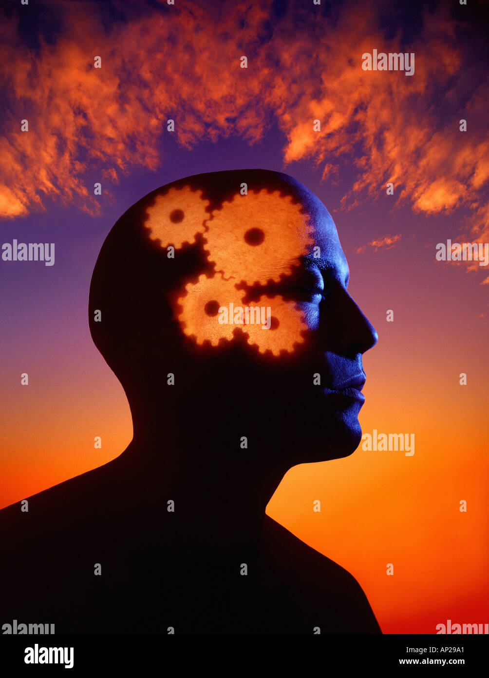 Gears going in the mind Stock Photo - Alamy