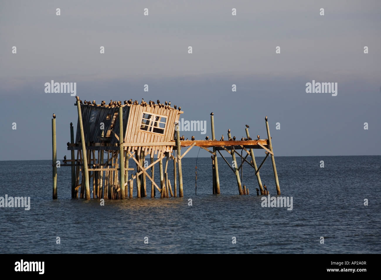 Cottage mexico hi-res stock photography and images - Alamy
