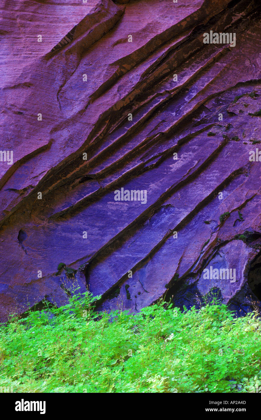 Striated rock face hi-res stock photography and images - Alamy