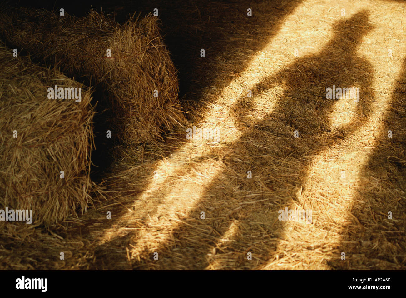Shadow on a barn floor Stock Photo - Alamy