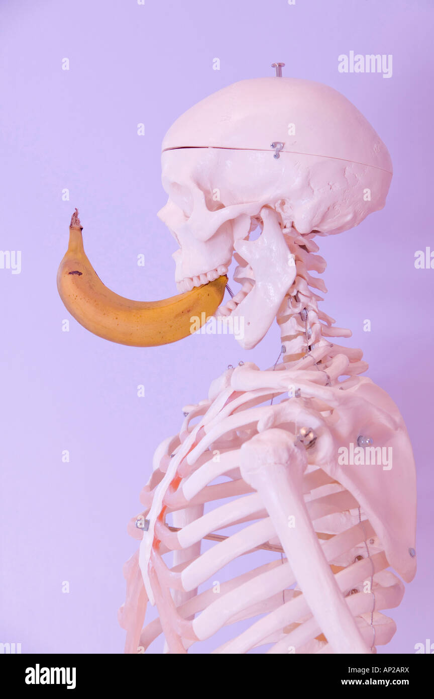 Skeleton Eating High Resolution Stock Photography and Images - Alamy