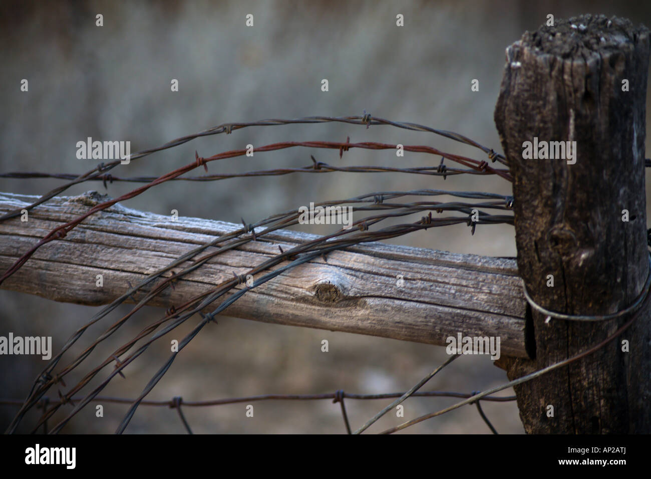 Old fence with barbed wire looped around post Stock Photo - Alamy