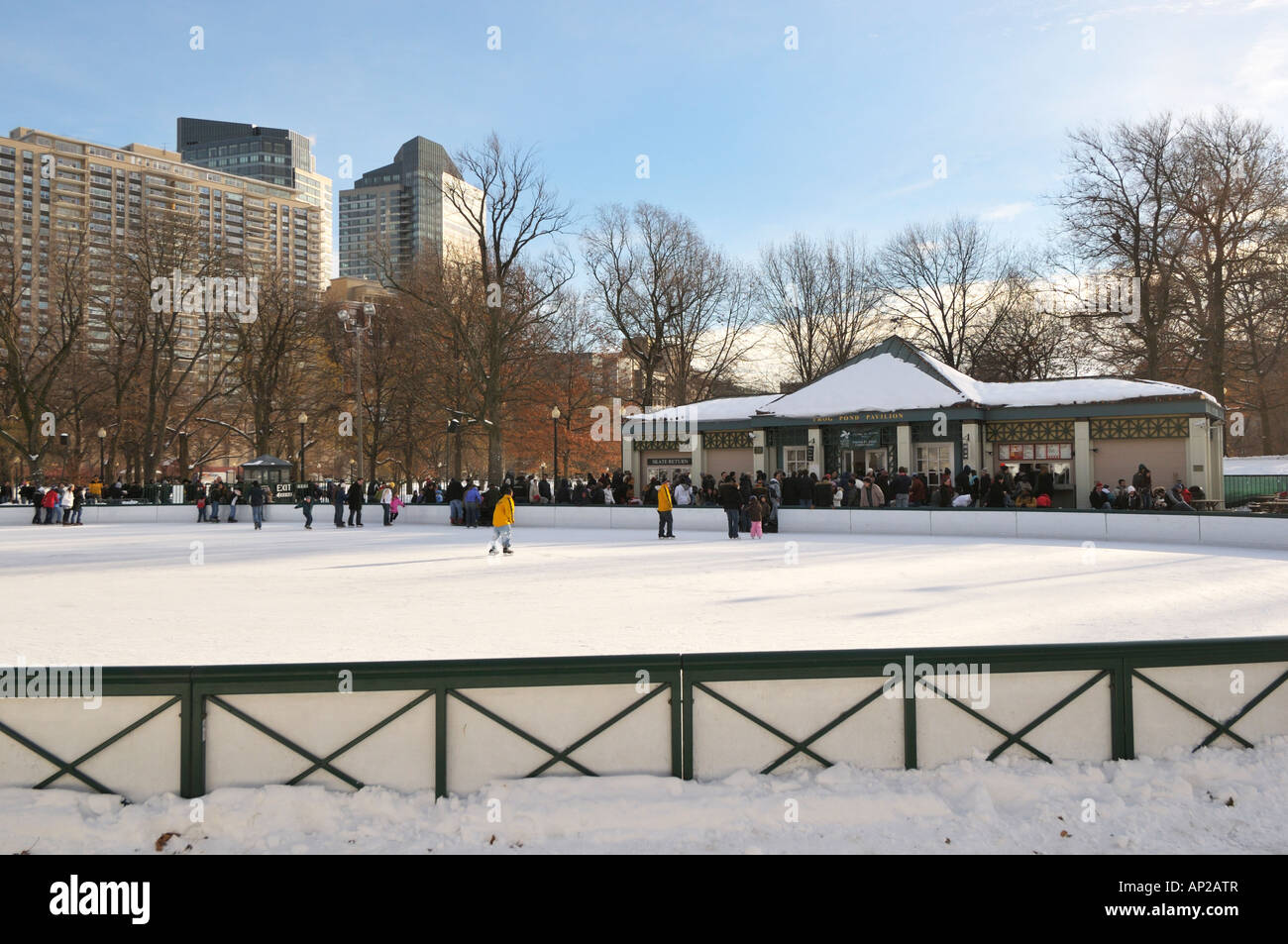 Frozen pond frog hi-res stock photography and images - Alamy