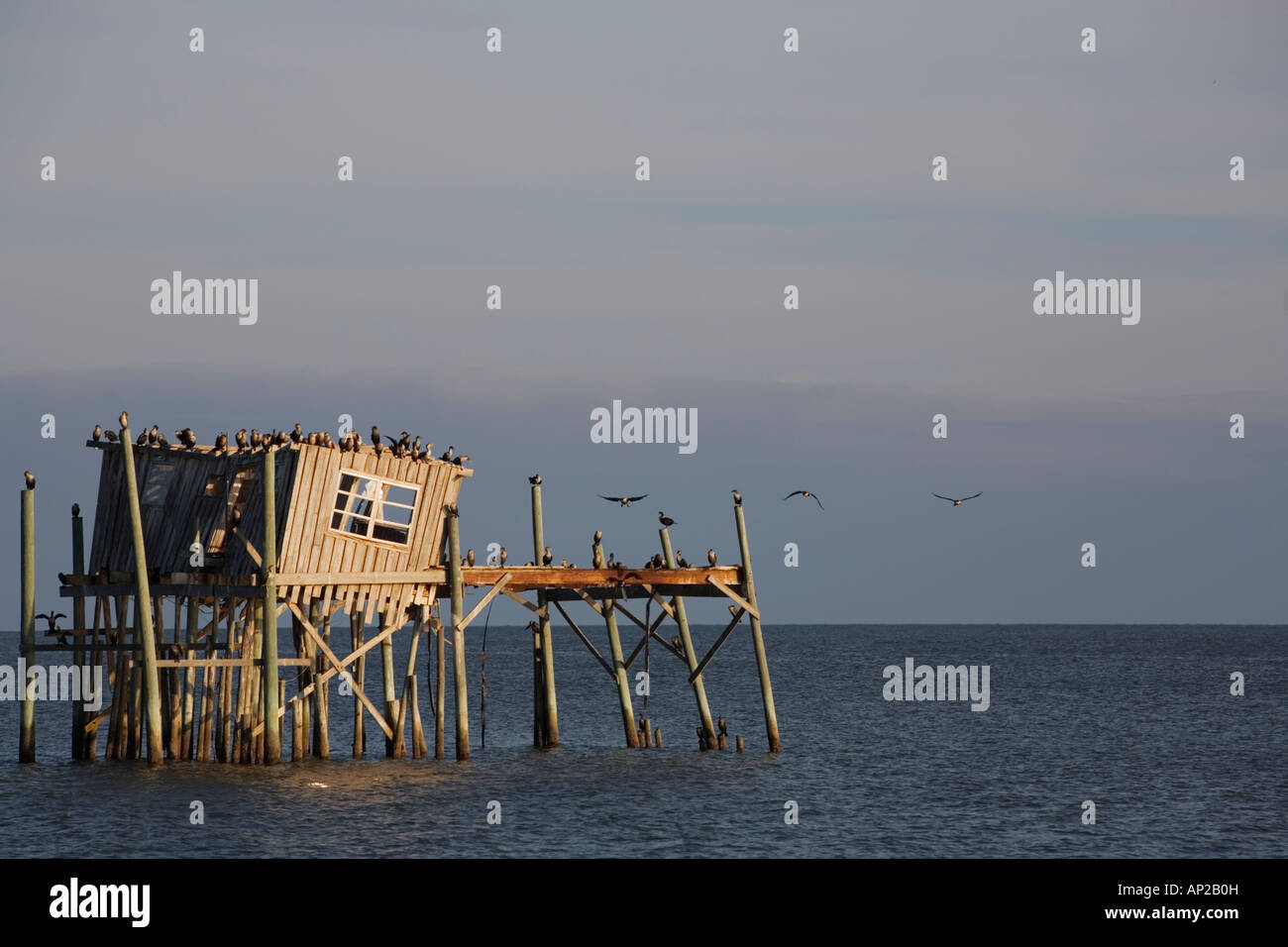 Cottage mexico hi-res stock photography and images - Alamy