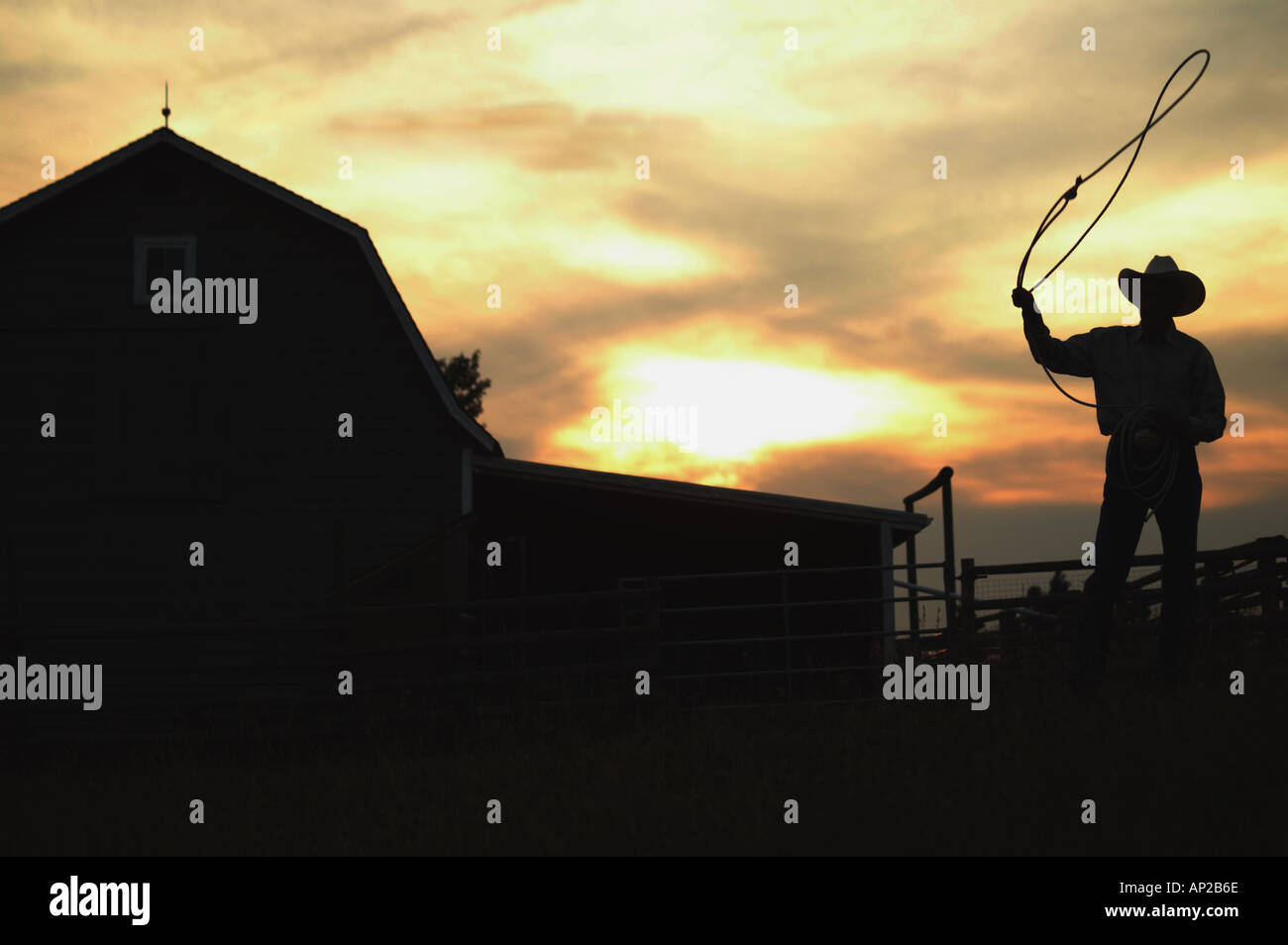 Cowboy Lasso Silhouette High Resolution Stock Photography and Images ...