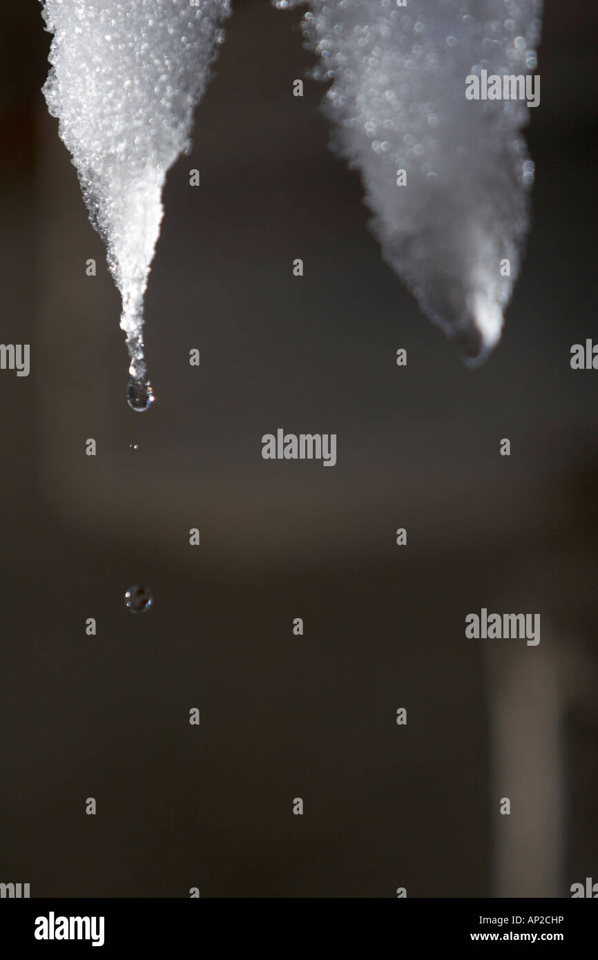 Icicle being formed by melting snow Stock Photo - Alamy