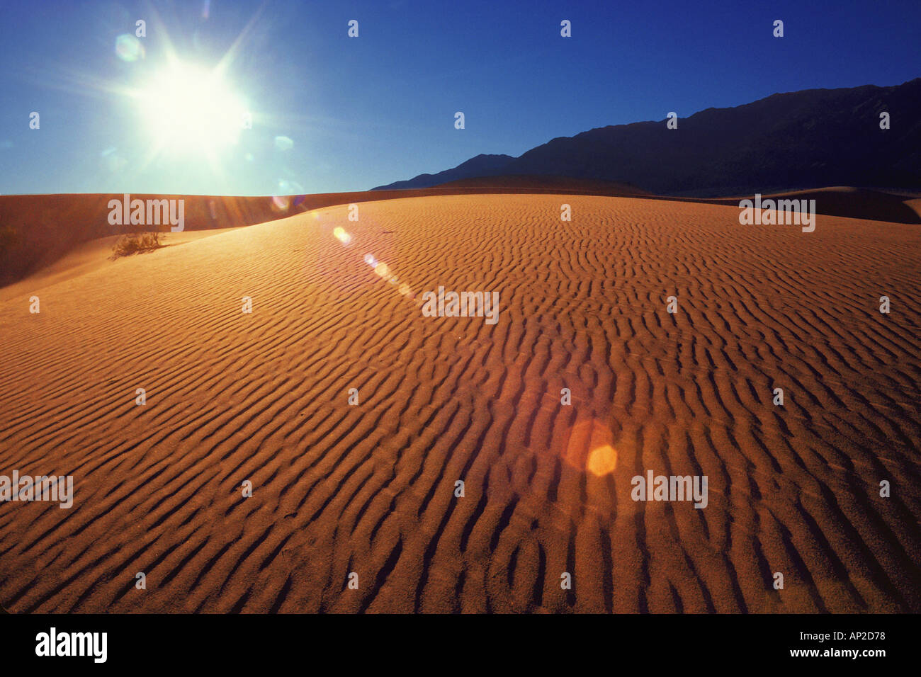 Ripples in desert sand Stock Photo - Alamy