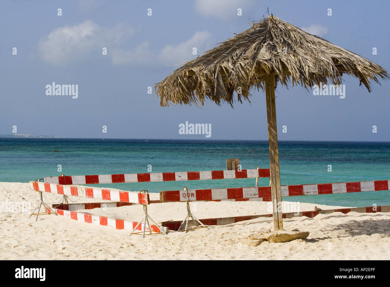 Loggerhead Sea turtle nest protected by barriers on beach Stock Photo ...