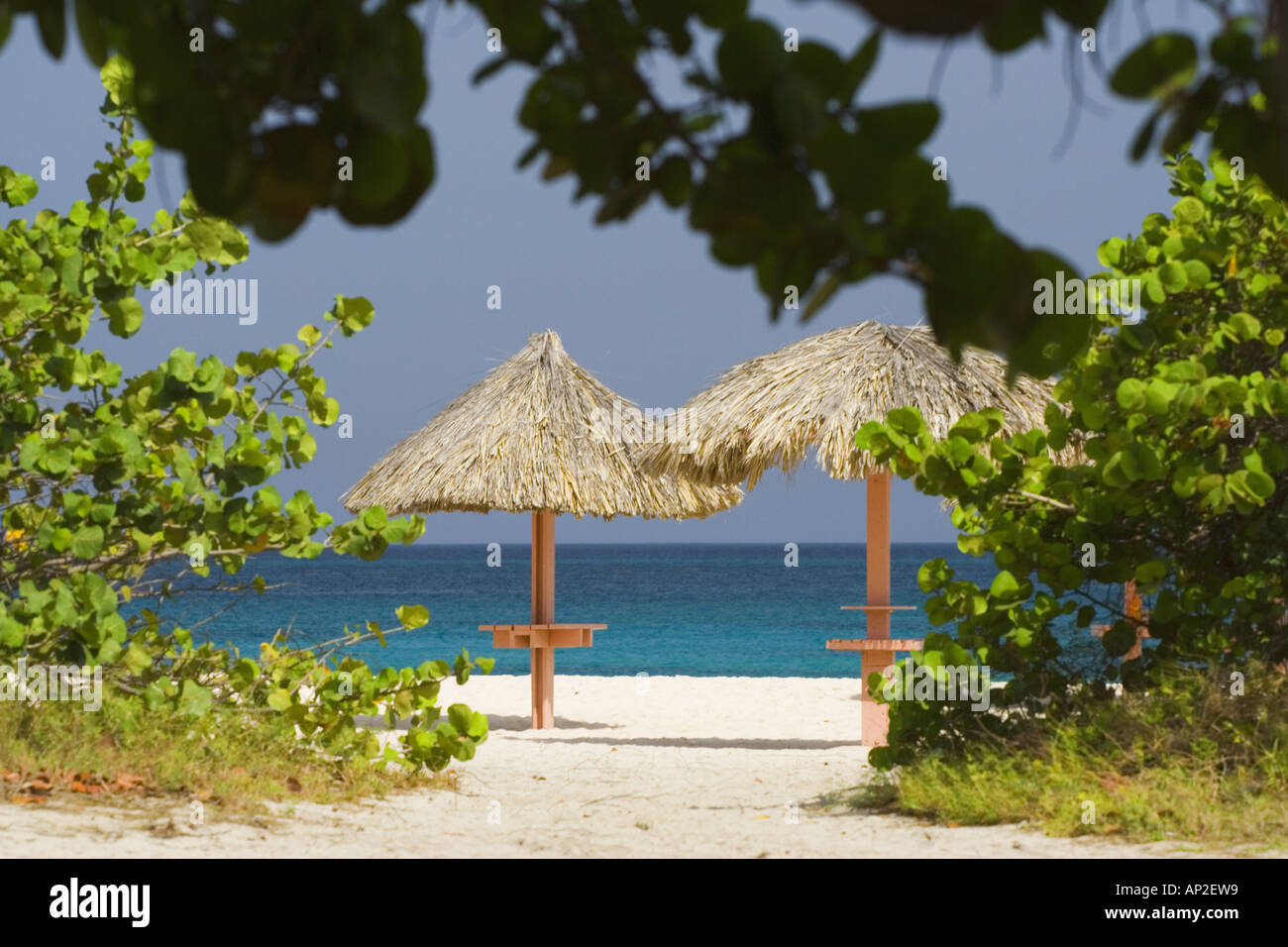 Aruba Palapa on Beach seen through sea grape trees Stock Photo - Alamy